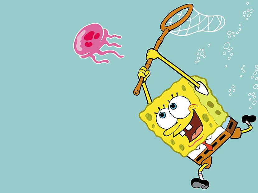 SpongeBob SquarePants wallpaper - Spoki
