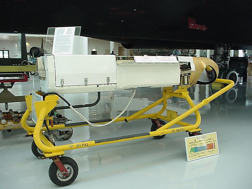 ''Melnais strazds'' - Spoki - bildes 2