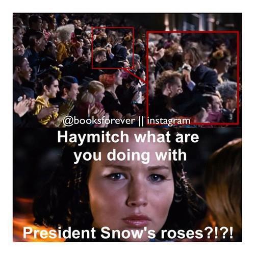 Hunger games funny - Spoki