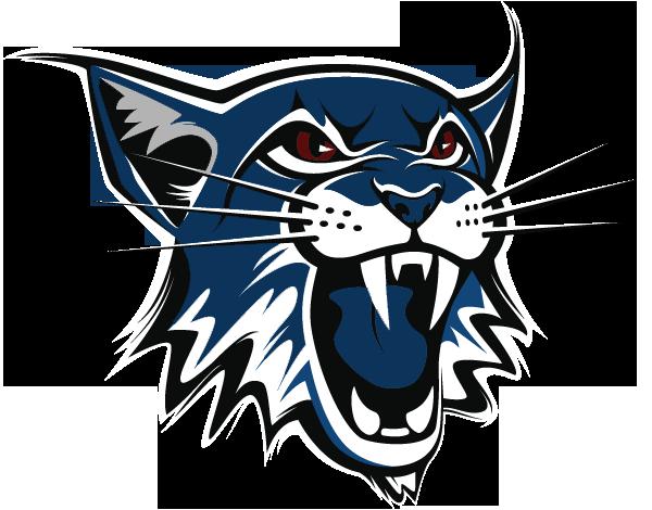 Latvijas Simulētā Hokeja Līga (komandu un līgas logo) - Spoki