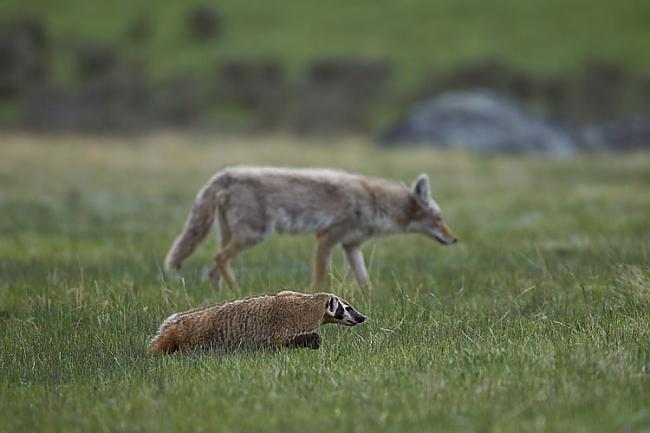 10 WTFakti?! - Spoki