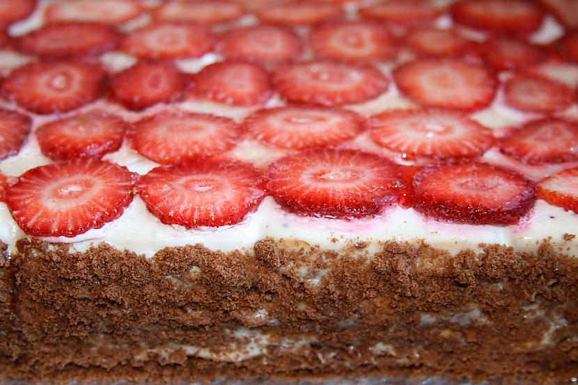 Selgas cepumu torte - Spoki