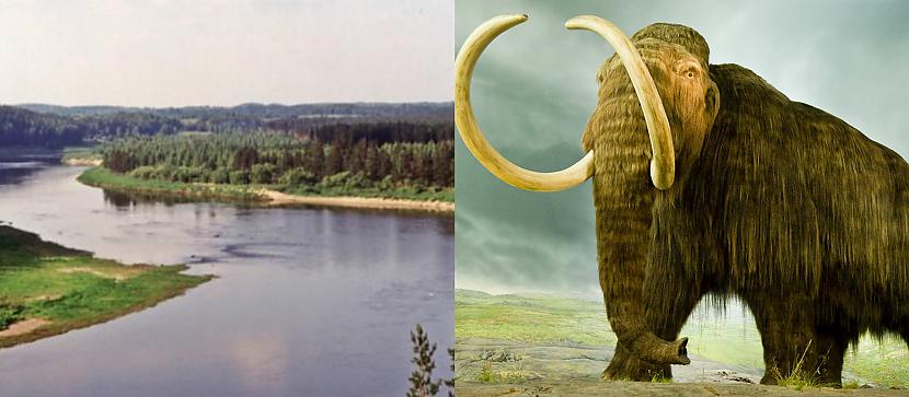 Mamuti Latvijā - Spoki