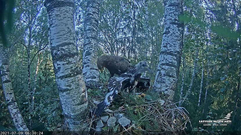 Tests uz veiksmi - Spoki