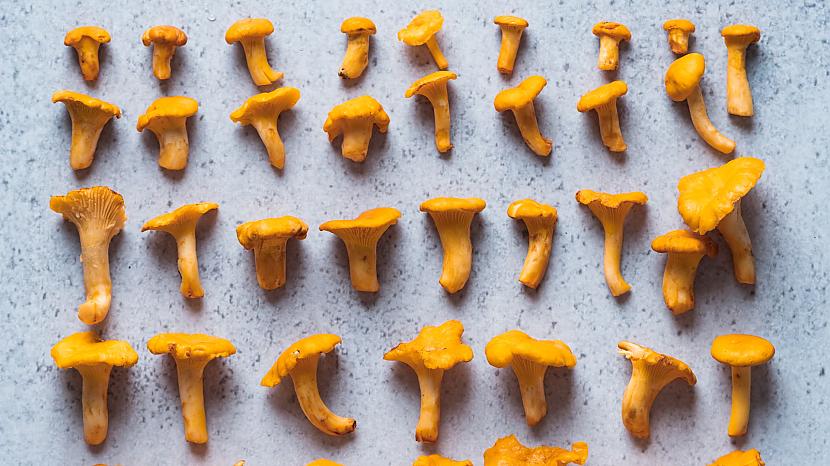 Vismaz 5 gadus veca metode, kā ātri un viegli notīrīt gailenes - Spoki